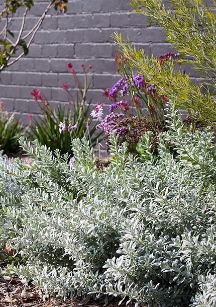 Events Calendar » Town of Bassendean