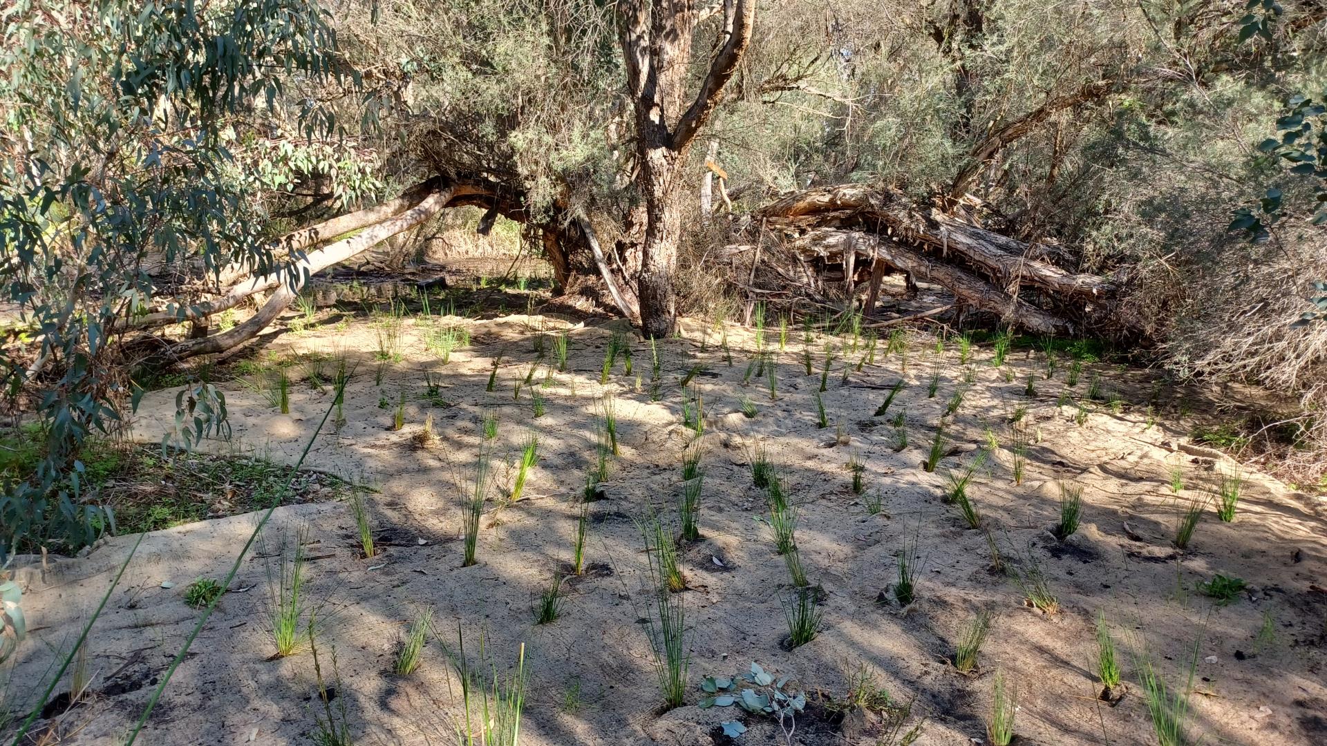 Latest News » Town of Bassendean